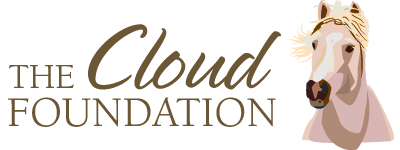 cloud-logo – Colleen B Kelly
