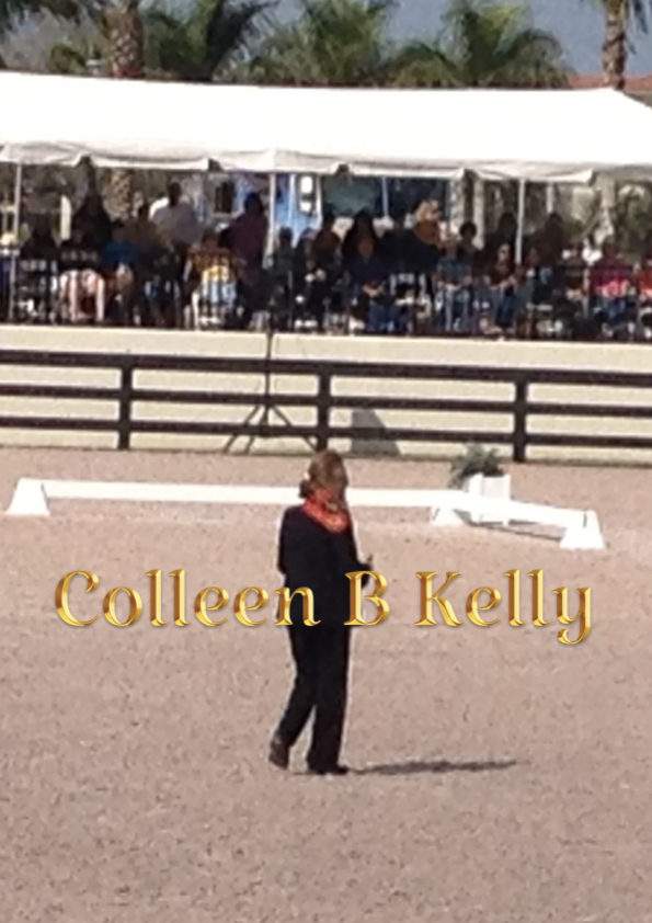Colleen B Kelly. Rider Biomechanics.001