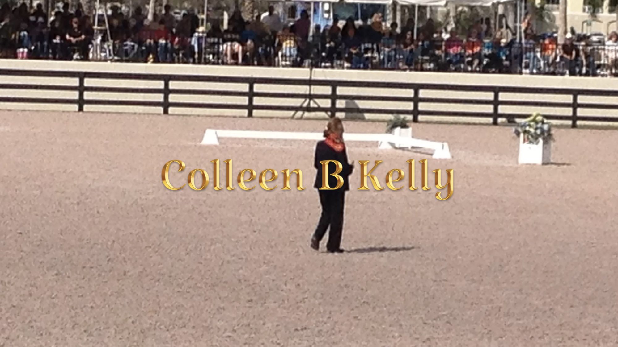 Colleen Kelly Quotes